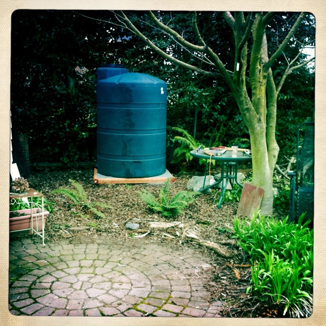 Installing Cisterns | Sustainable Scientist