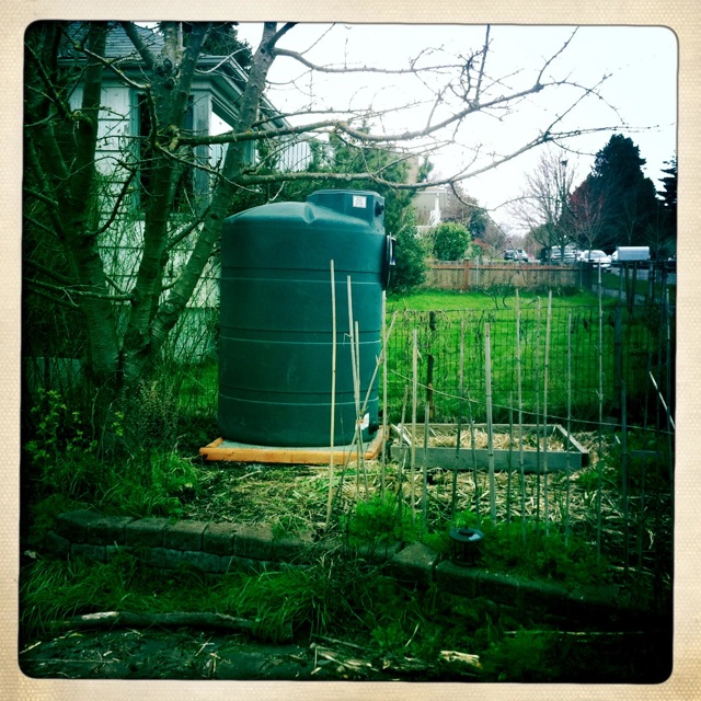 Installing Cisterns | Sustainable Scientist