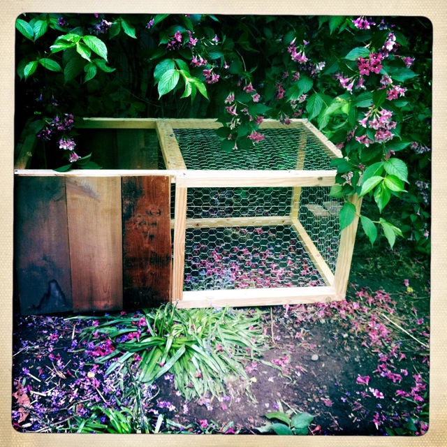 Building my broody a box | Sustainable Scientist