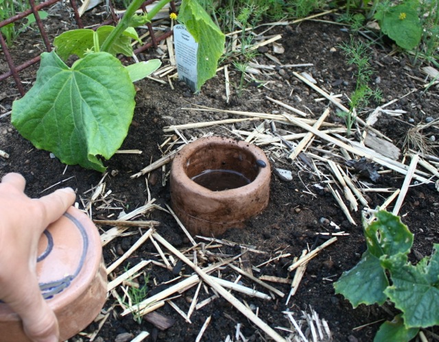 Considering Clays for Homemade Ollas | Sustainable Scientist