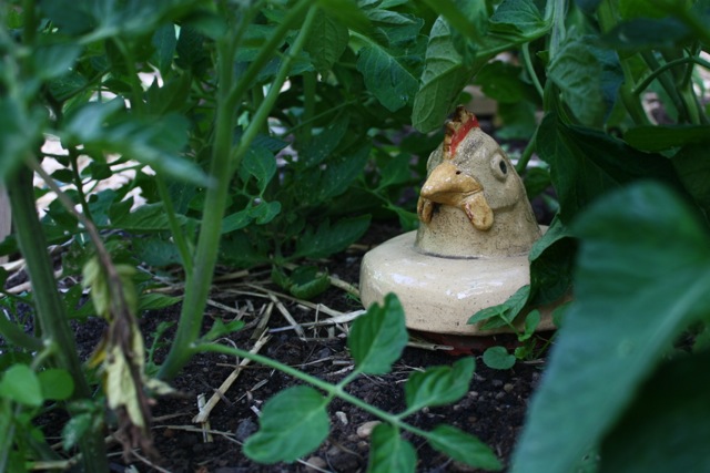 Considering Clays for Homemade Ollas | Sustainable Scientist